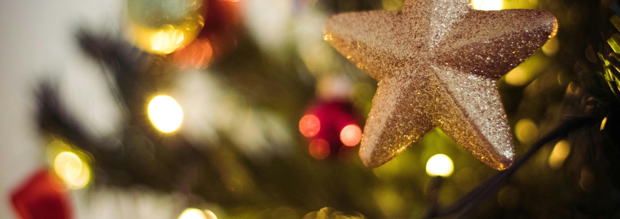 Kerstdagen 2025 | Het Herdertje